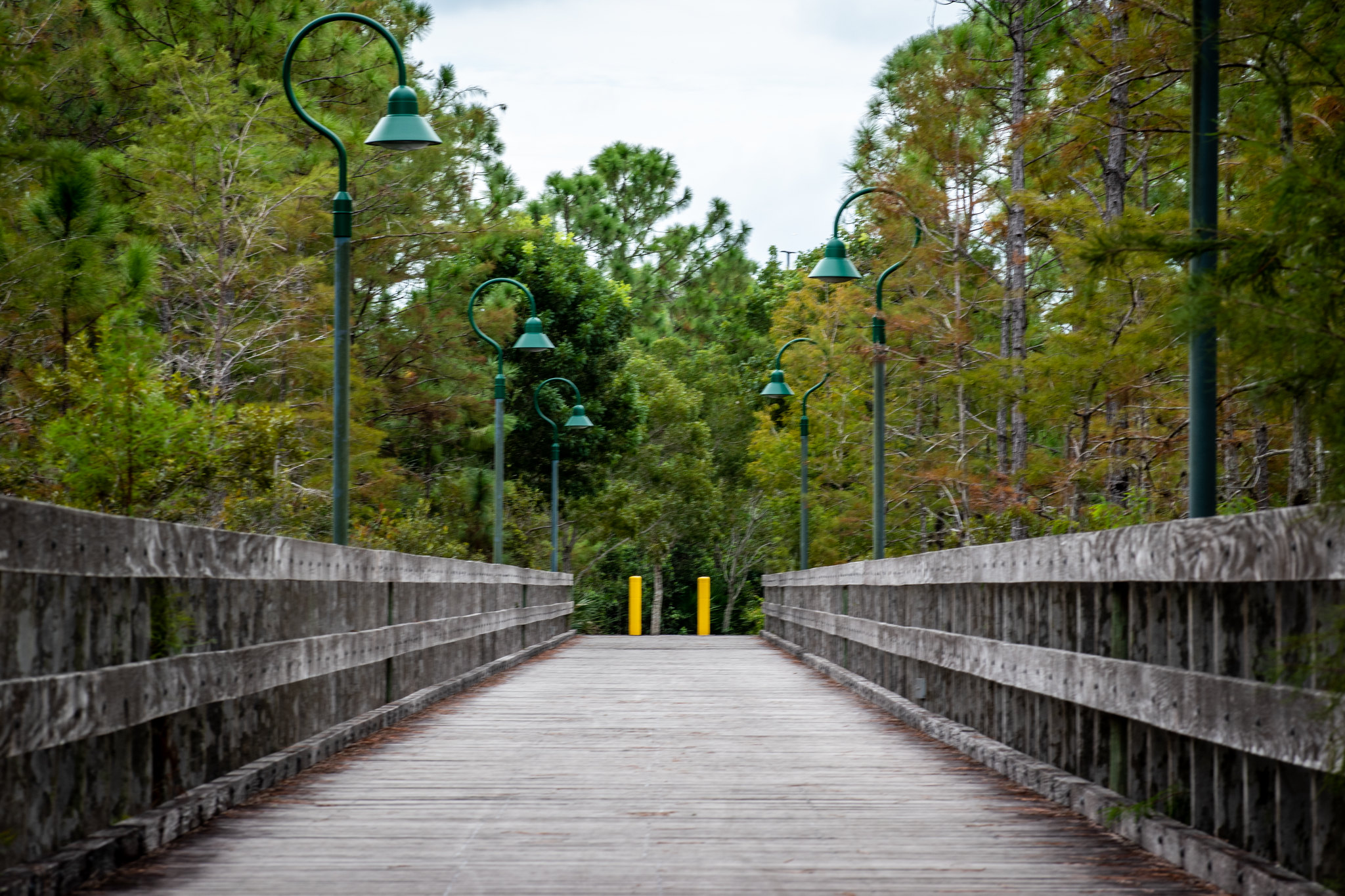 Home [christianbedwell.github.io]